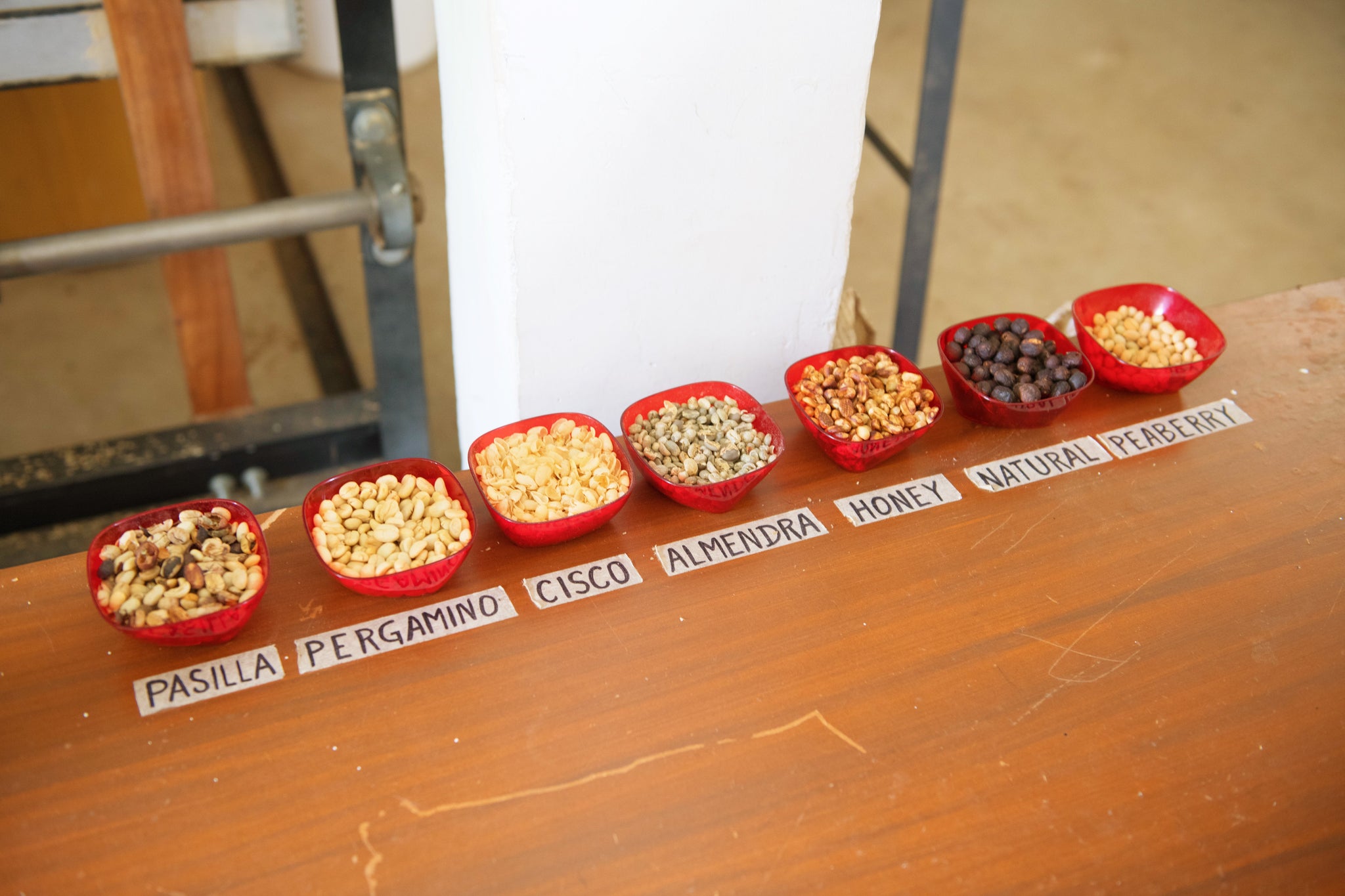 Los tres principales procesos de beneficiado del café: lavado, natural ...